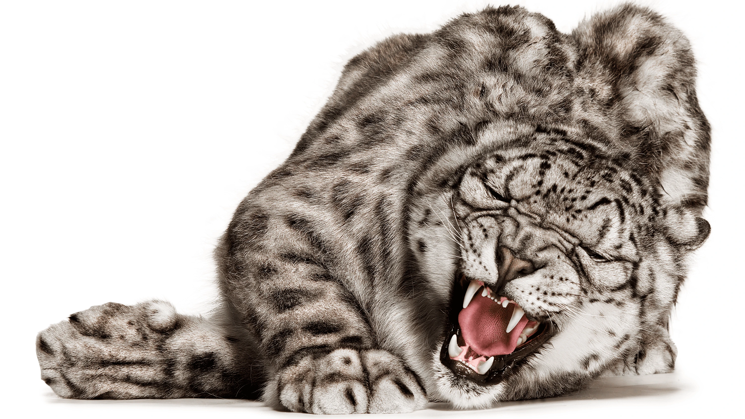 Creature - Andrew Zuckerman